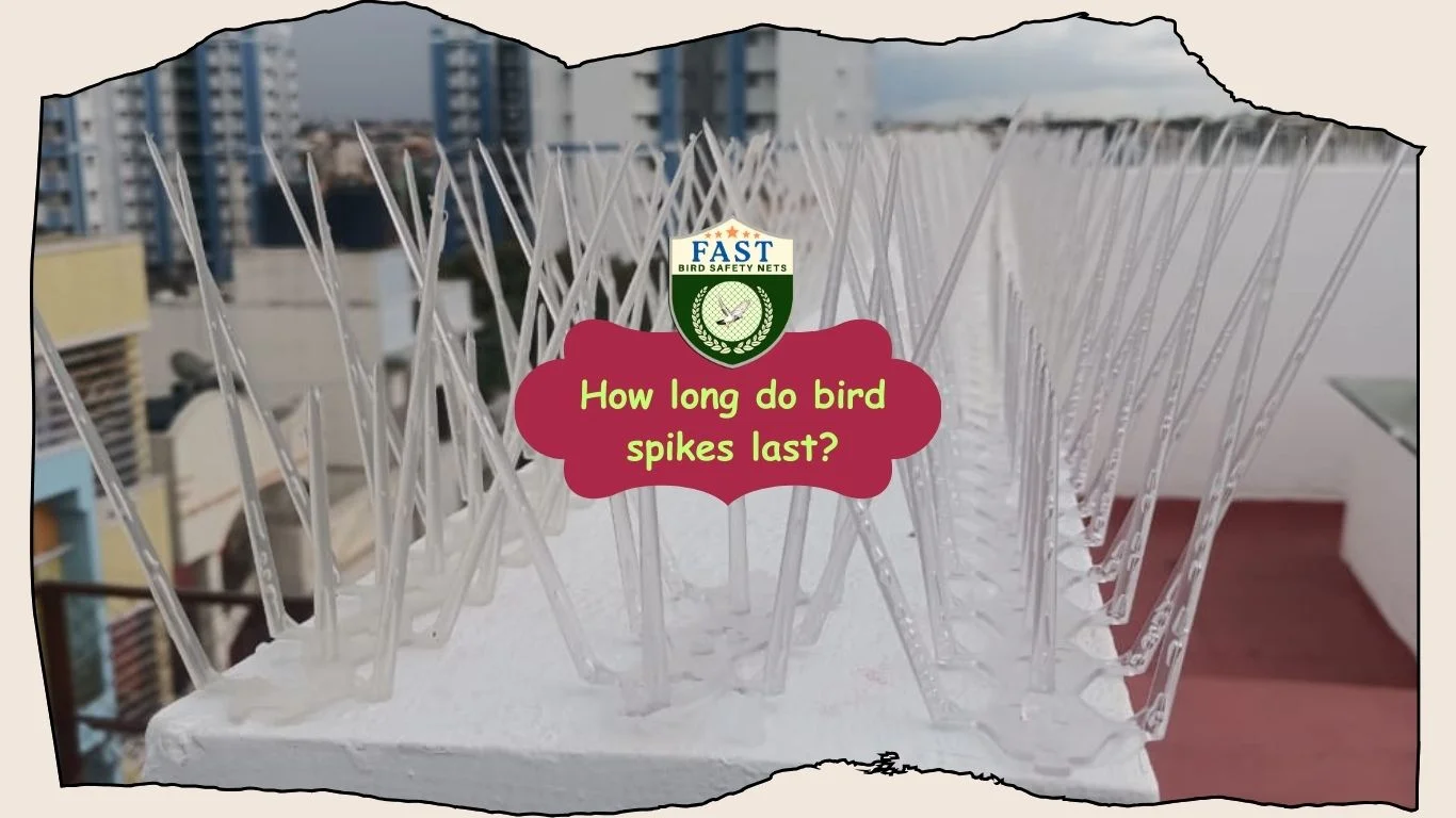 How long do bird spikes last? - Fast Safety Nets Hyderabad -9363632161