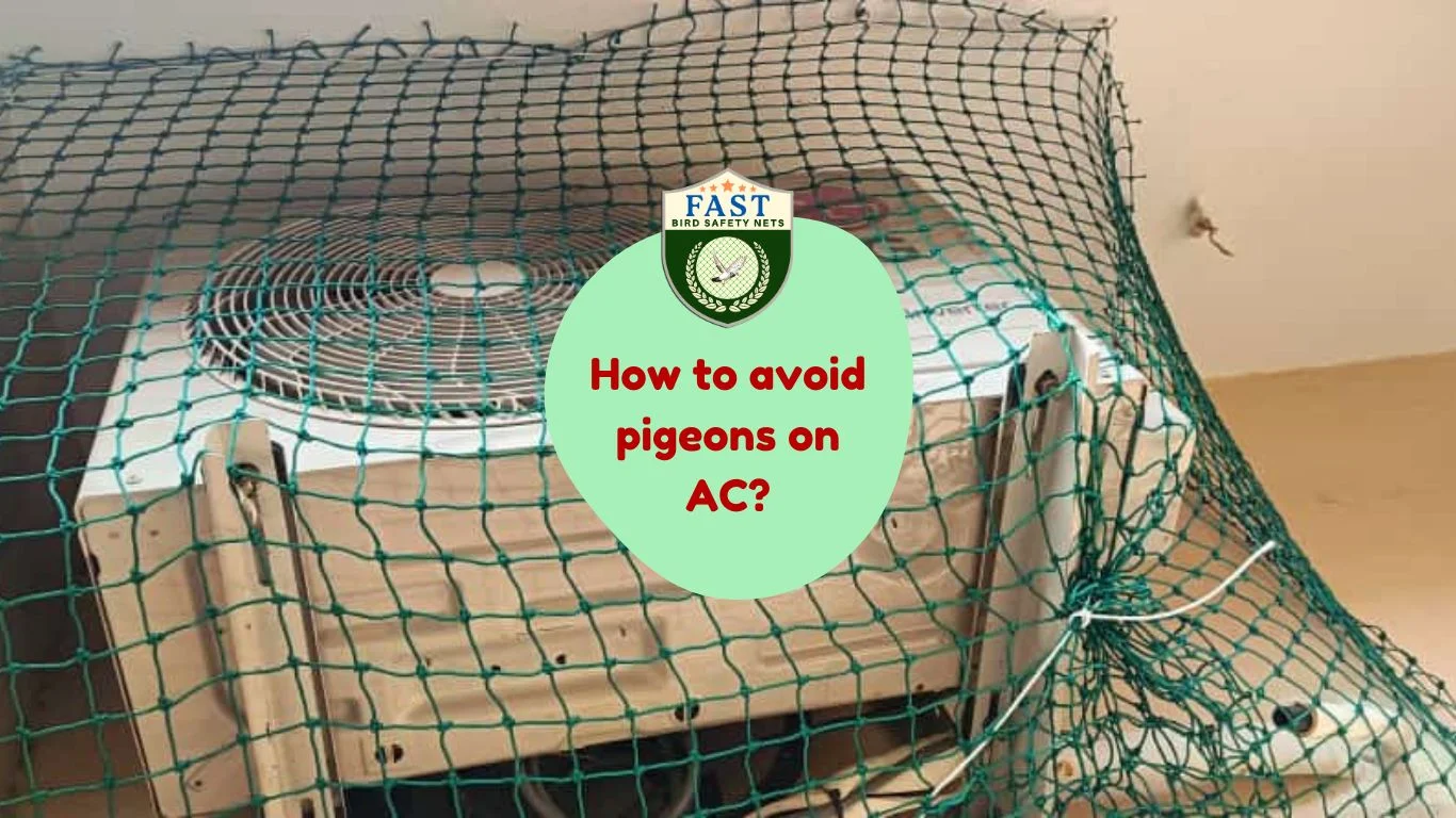 How to avoid pigeons on AC? - Fast Safety Nets Hyderabad -9363632161