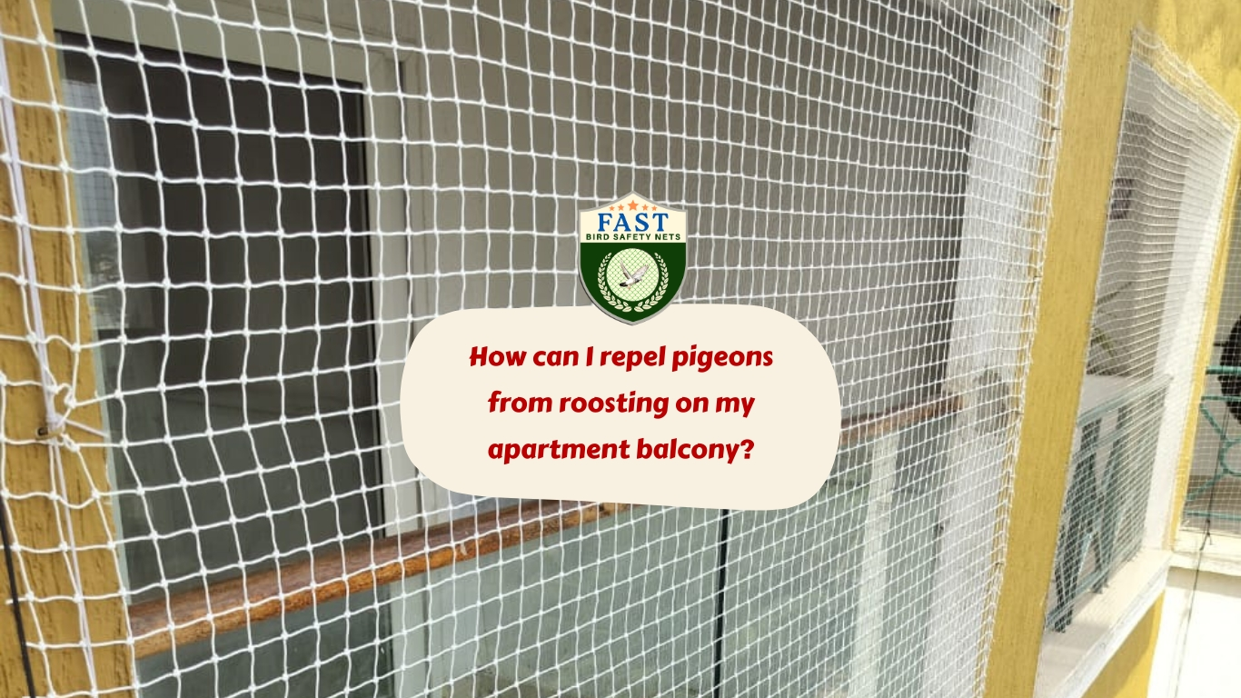 How Can I Repel Pigeons