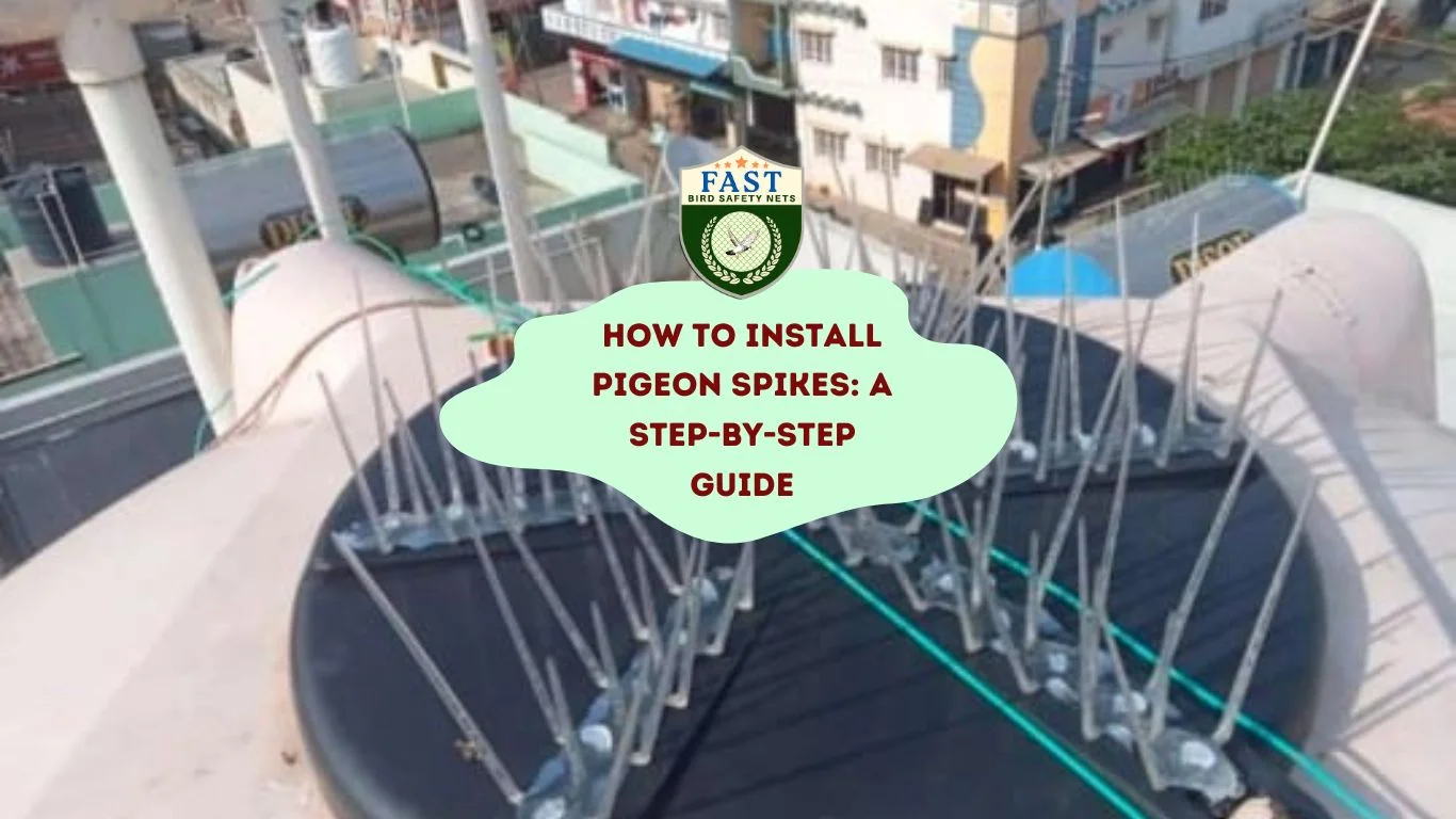 How to Install Pigeon Spikes: A Step-by-Step Guide - Fast Safety Nets ...