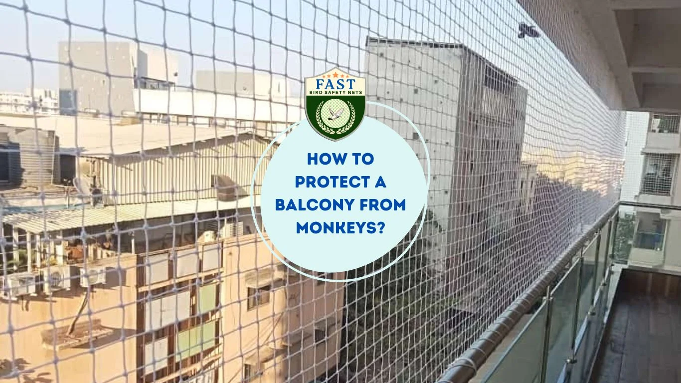 How to protect a balcony from monkeys? - Fast Safety Nets Hyderabad ...