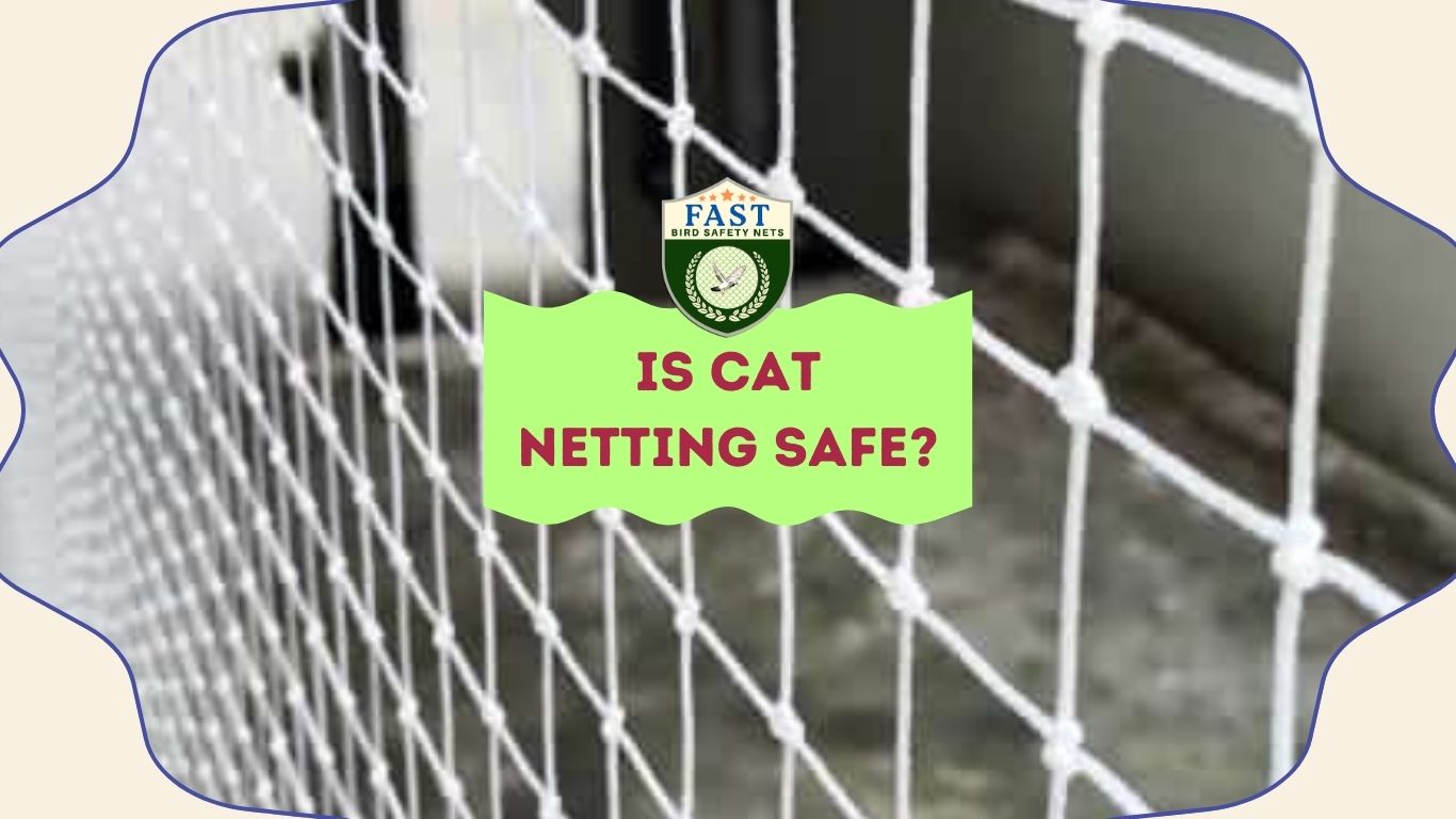 Is cat netting safe? - Fast Safety Nets Hyderabad -9363632161
