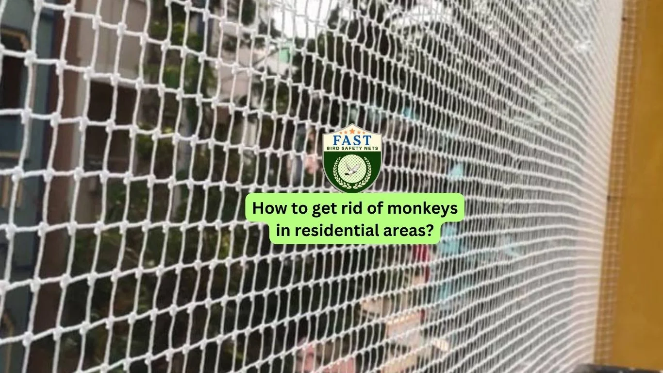 How to get rid of monkeys in residential areas? - Fast Safety Nets ...
