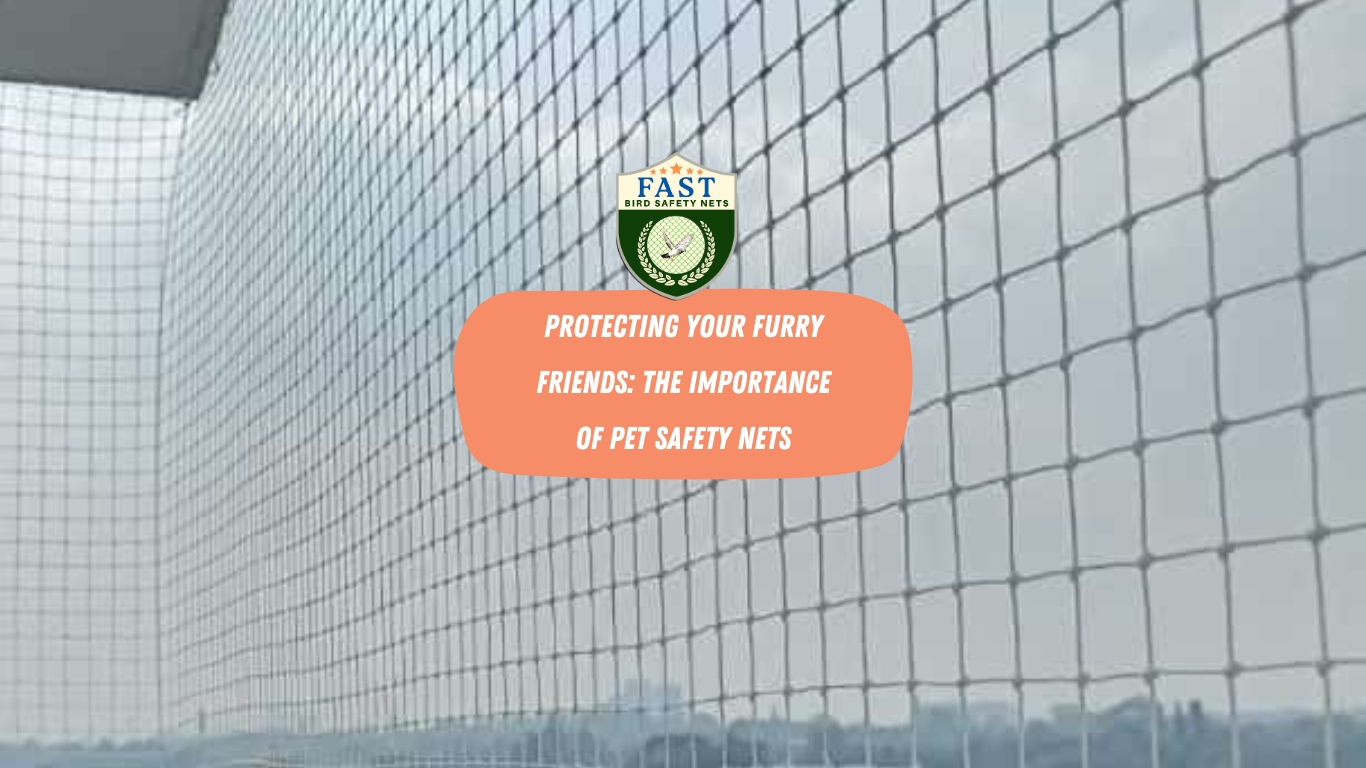 Protecting Your Furry Friends: The Importance of Pet Safety Nets - Fast ...