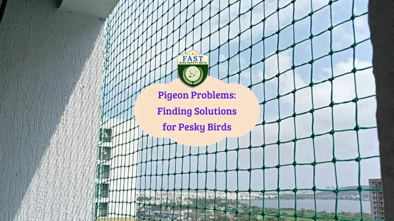 Pigeon Problems: Finding Solutions for Pesky Birds - Fast Safety Nets ...