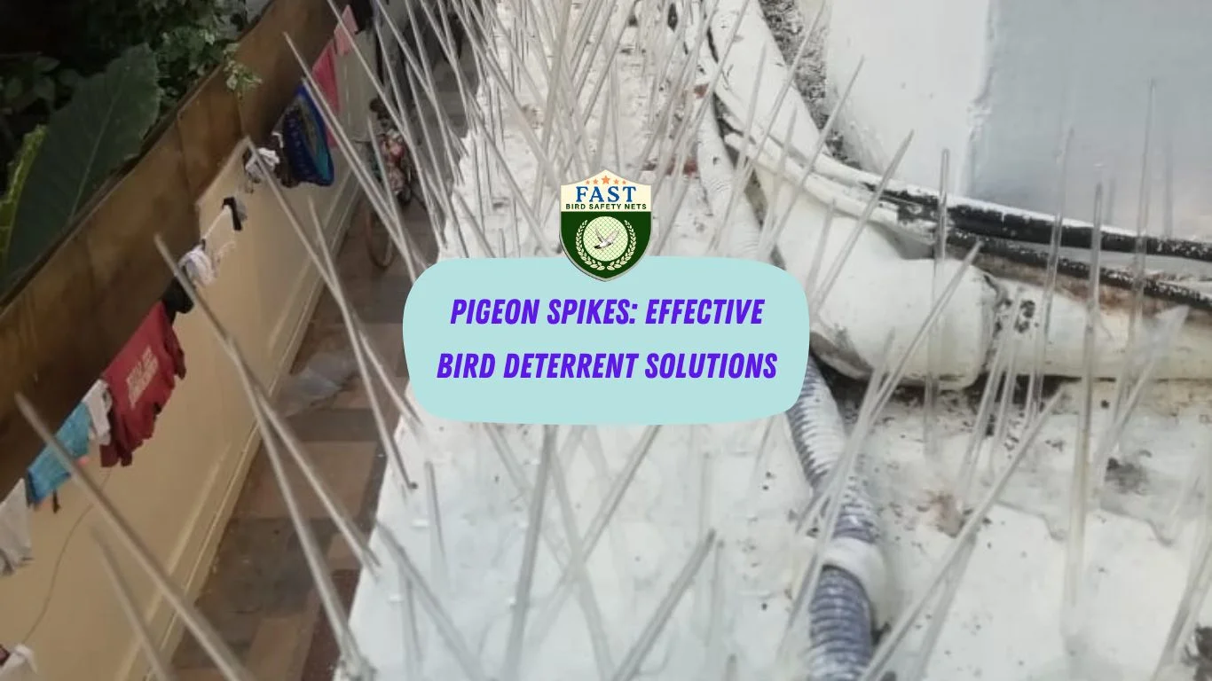 Pigeon Spikes: Effective Bird Deterrent Solutions - Fast Safety Nets ...