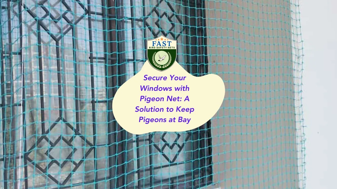 Secure Your Windows with Pigeon Net