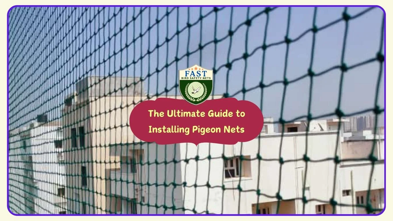 The Ultimate Guide to Installing Pigeon Nets - Fast Safety Nets ...