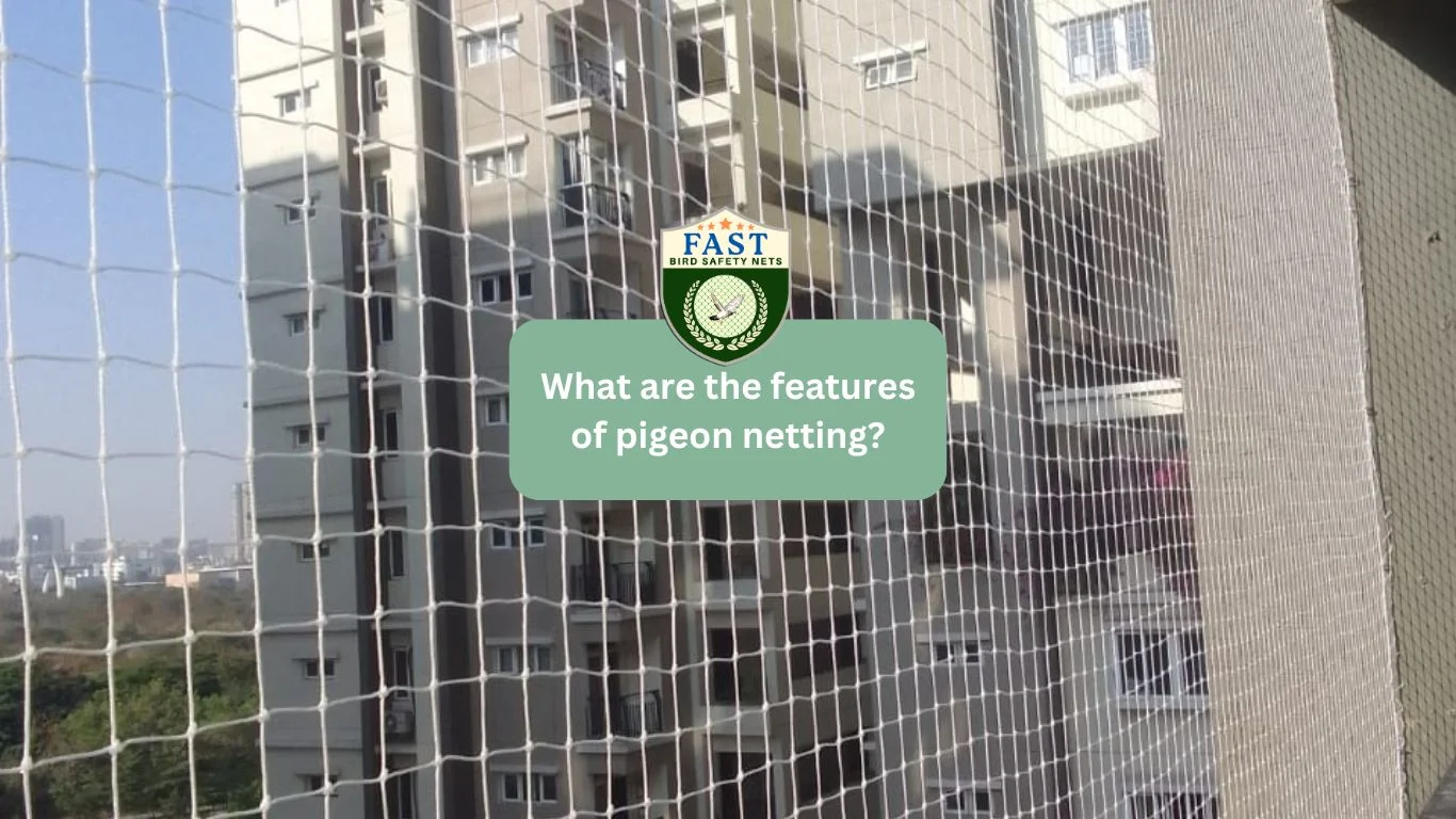 What are the features of pigeon netting? - Fast Safety Nets Hyderabad ...