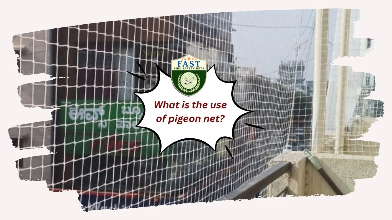 What is the use of pigeon net? - Fast Safety Nets Hyderabad -9363632161