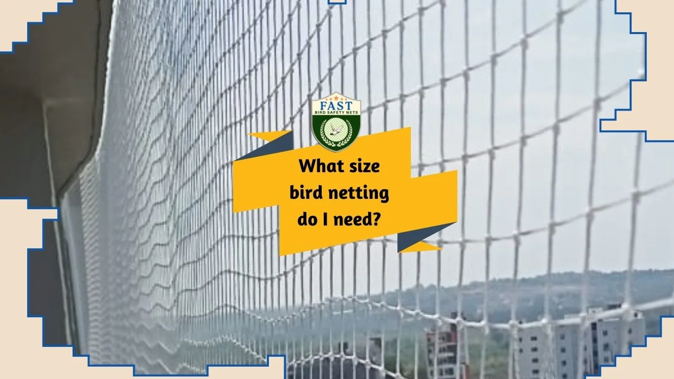 What size bird netting do I need? - Fast Safety Nets Hyderabad -9363632161