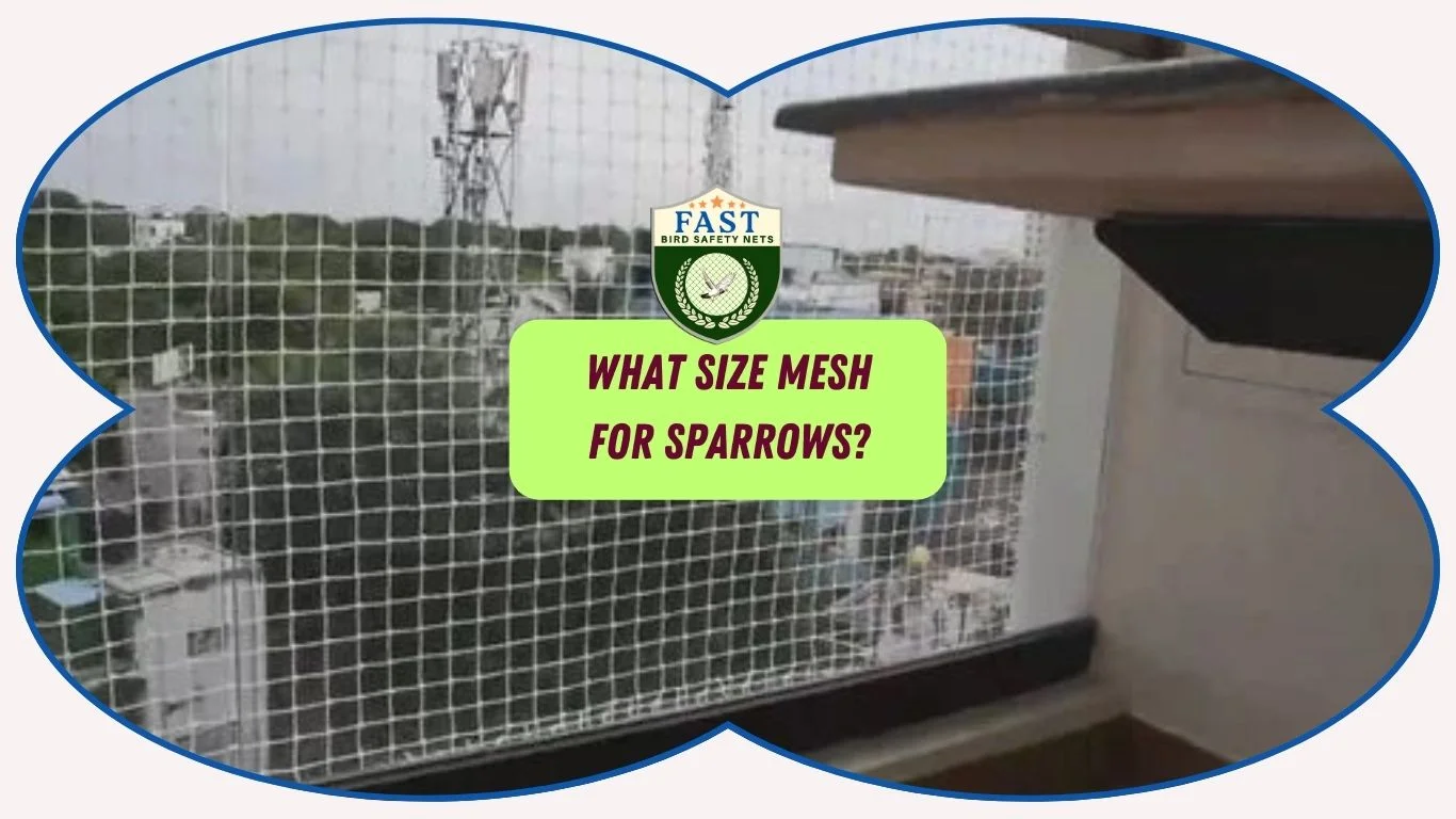 What size mesh for sparrows? - Fast Safety Nets Hyderabad -9363632161