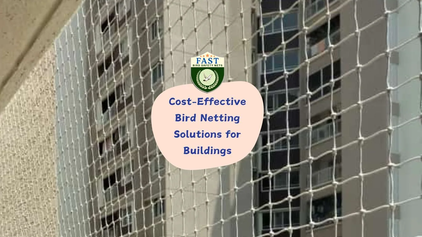 Cost-Effective Bird Netting Solutions for Buildings - Fast Safety Nets ...
