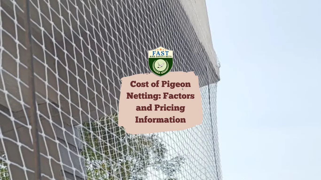 Cost of Pigeon Netting: Factors and Pricing Information - Fast Safety ...