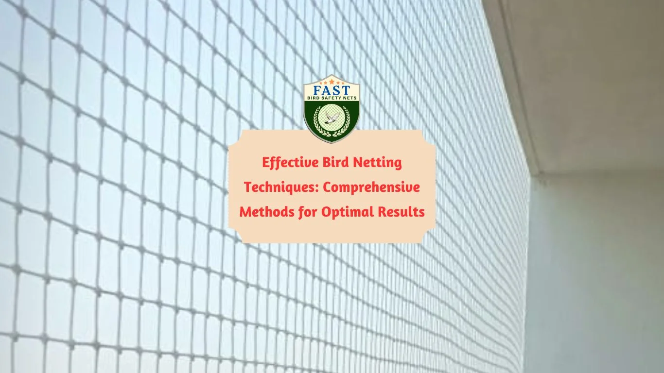Effective Bird Netting Installation: A Step-by-Step Guide for ...