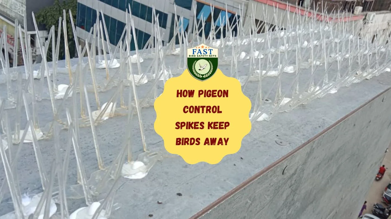 How Pigeon Control Spikes Keep Birds away - Fast Safety Nets Hyderabad ...