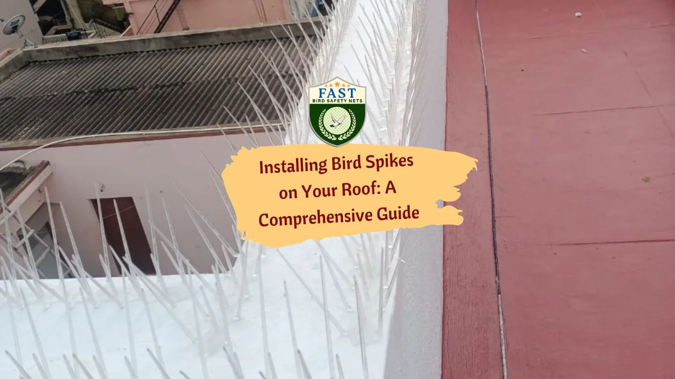 Installing Bird Spikes on Your Roof: A Comprehensive Guide - Fast ...