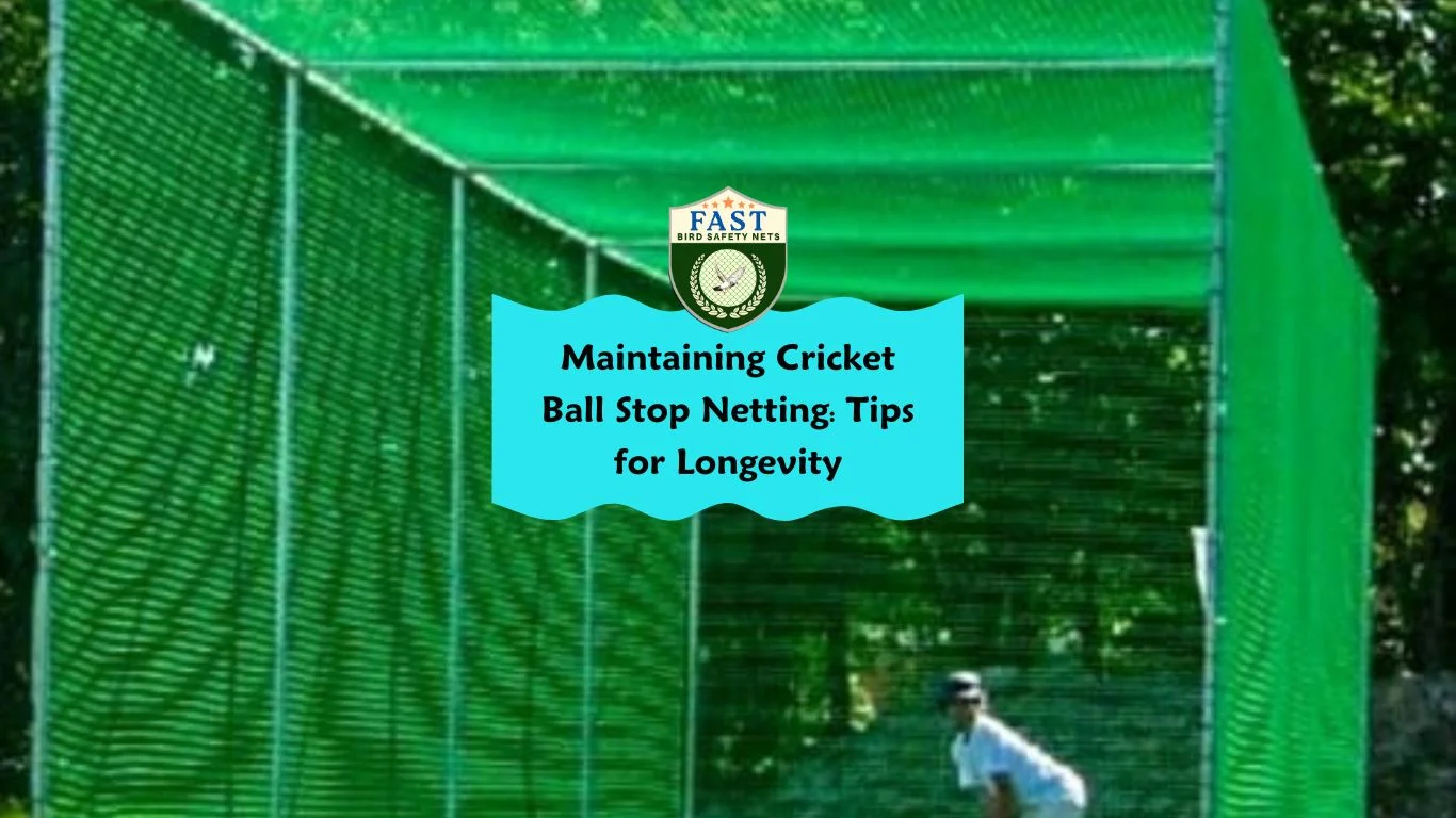 Maintaining Cricket Ball Stop Netting: Tips for Longevity - Fast Safety ...
