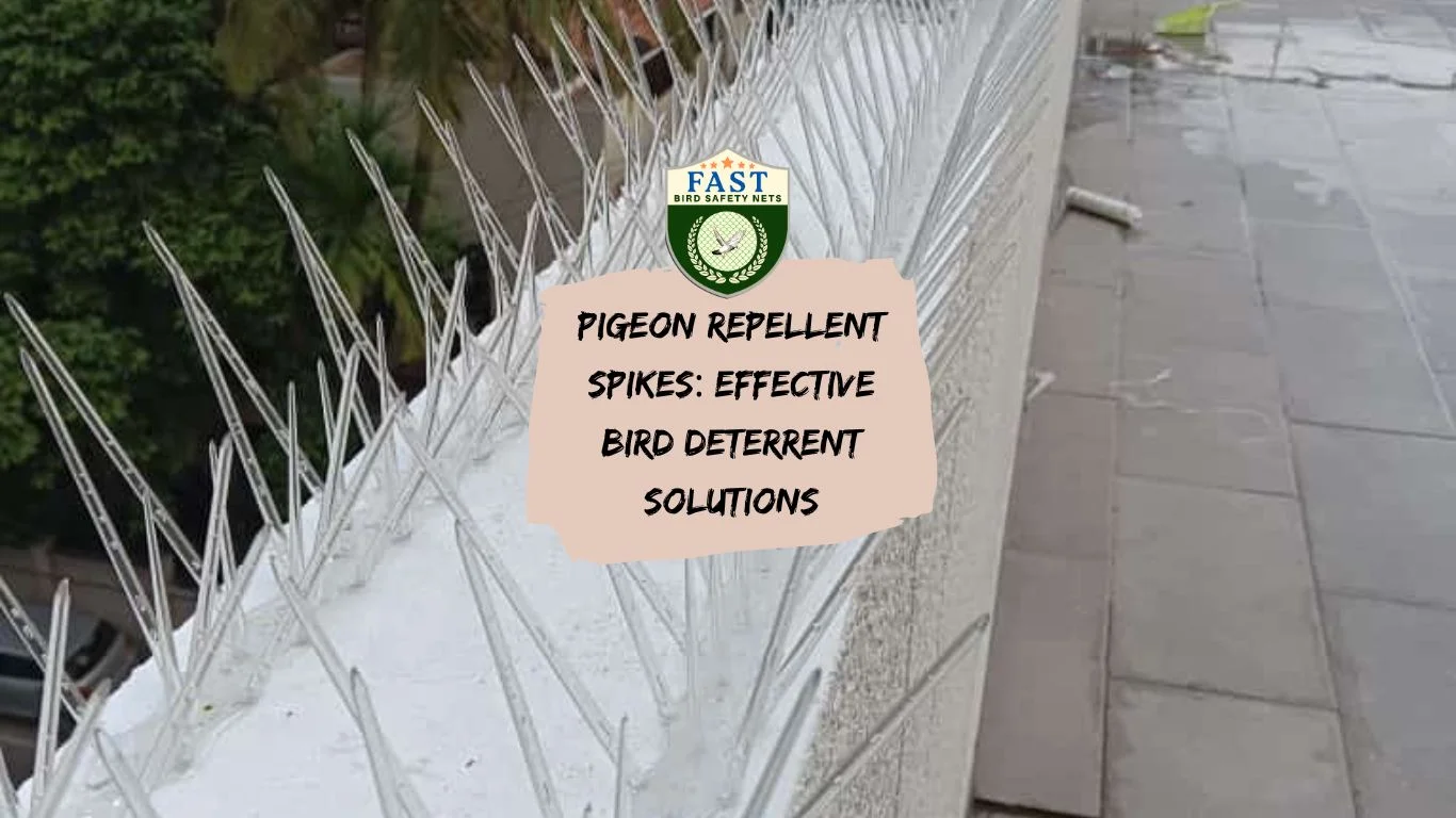 Pigeon Repellent Spikes: Effective Bird Deterrent Solutions - Fast ...