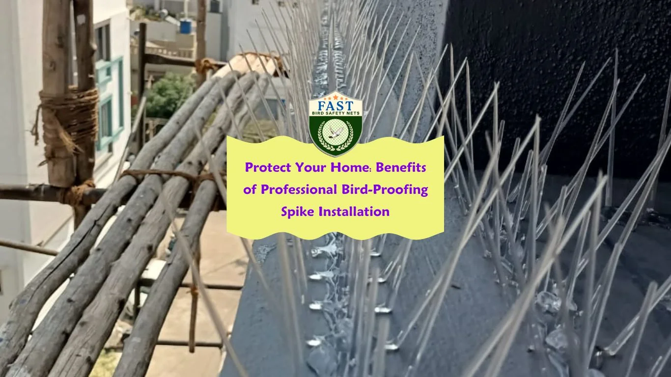 Protect Your Home: Benefits of Professional Bird-Proofing Spike ...
