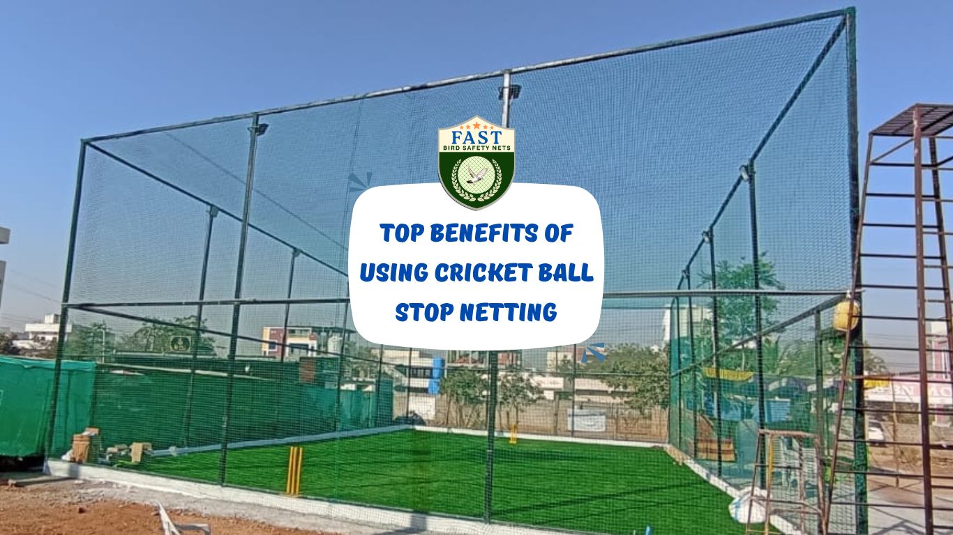 Top Benefits of Using Cricket Ball Stop Netting - Fast Safety Nets ...