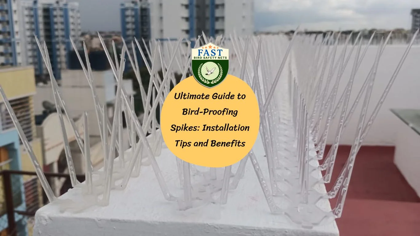 Ultimate Guide to Bird-Proofing Spikes: Installation Tips and Benefits ...