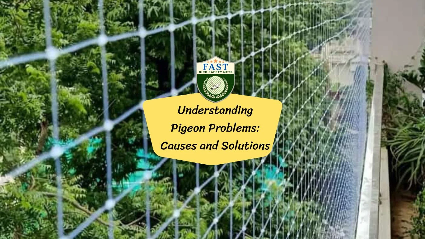 Understanding Pigeon Problems: Causes and Solutions - Fast Safety Nets ...