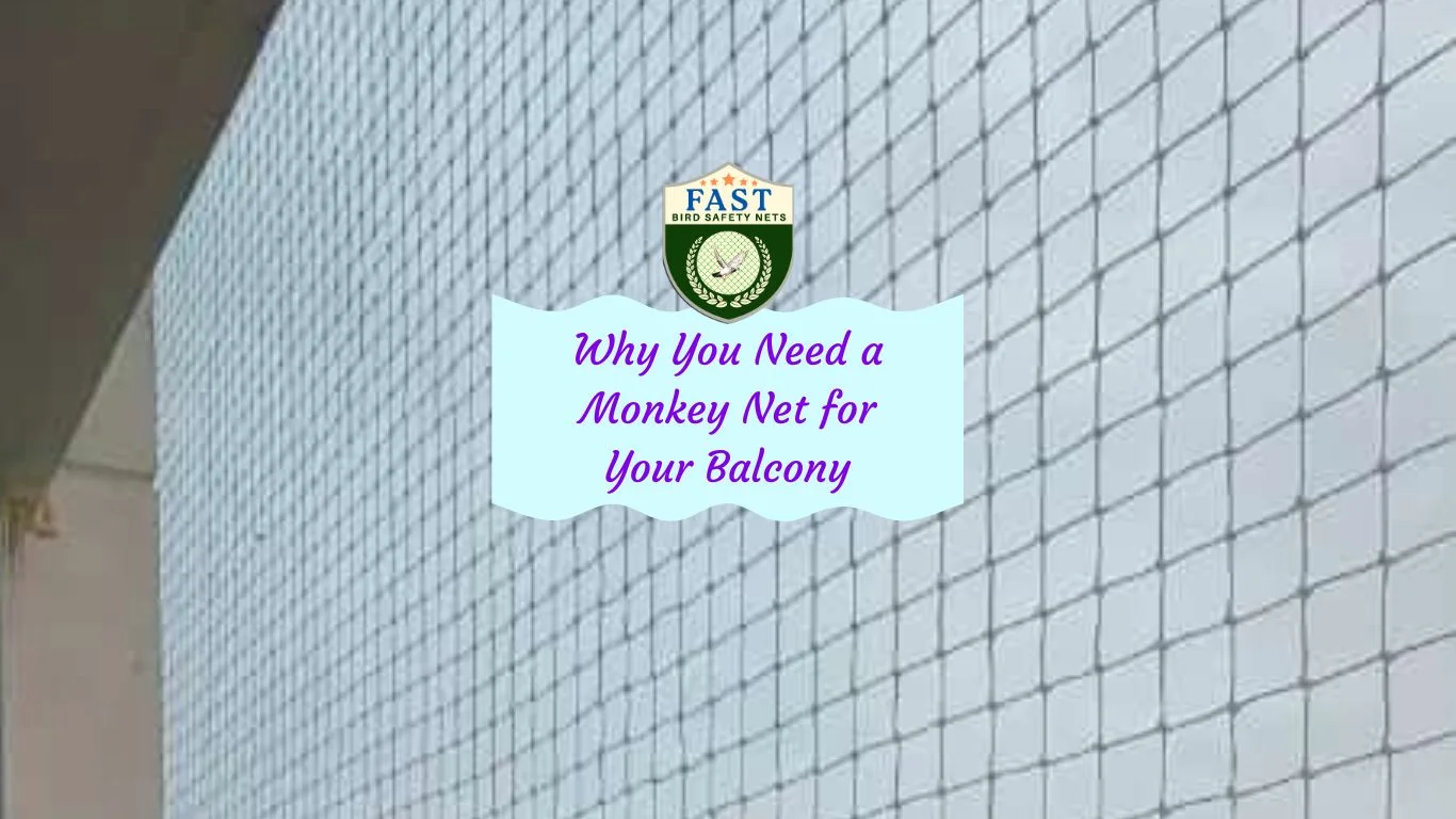 Why You Need a Monkey Net for Your Balcony - Fast Safety Nets Hyderabad ...