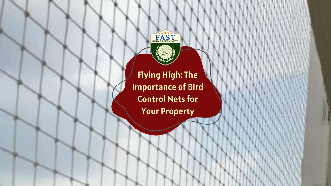 Flying High: The Importance of Bird Control Nets for Your Property ...