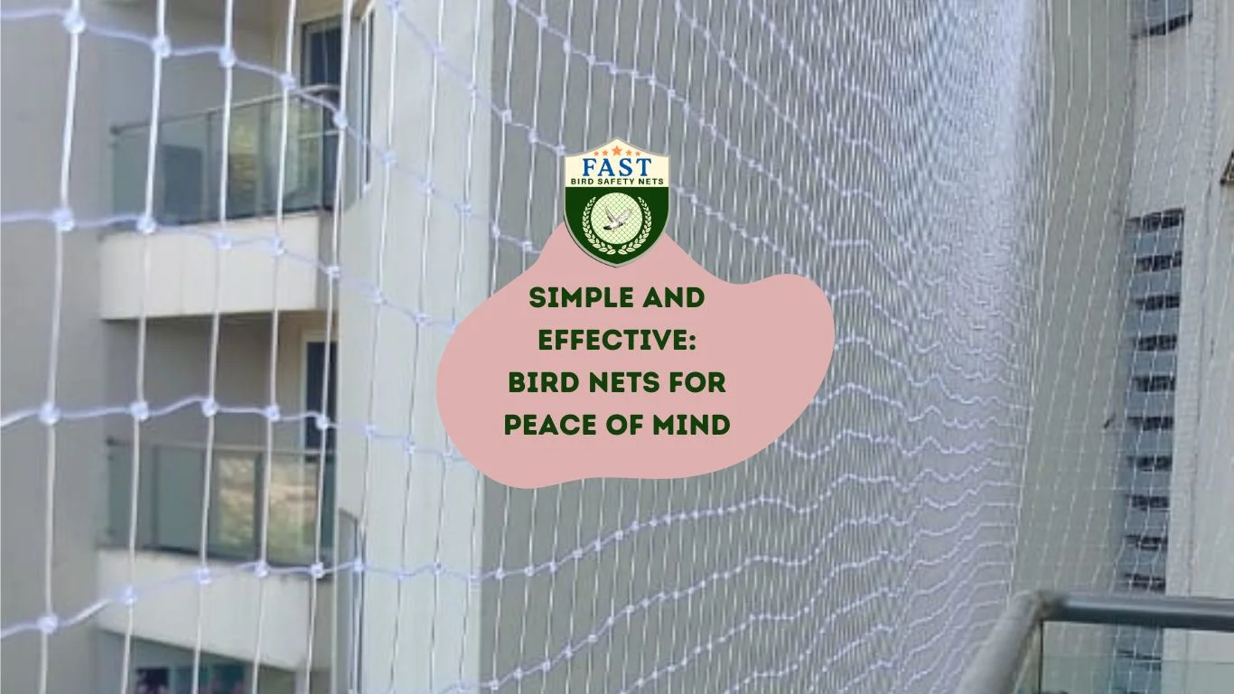 Simple and Effective: Bird Control Nets for Peace of Mind - Fast Safety ...