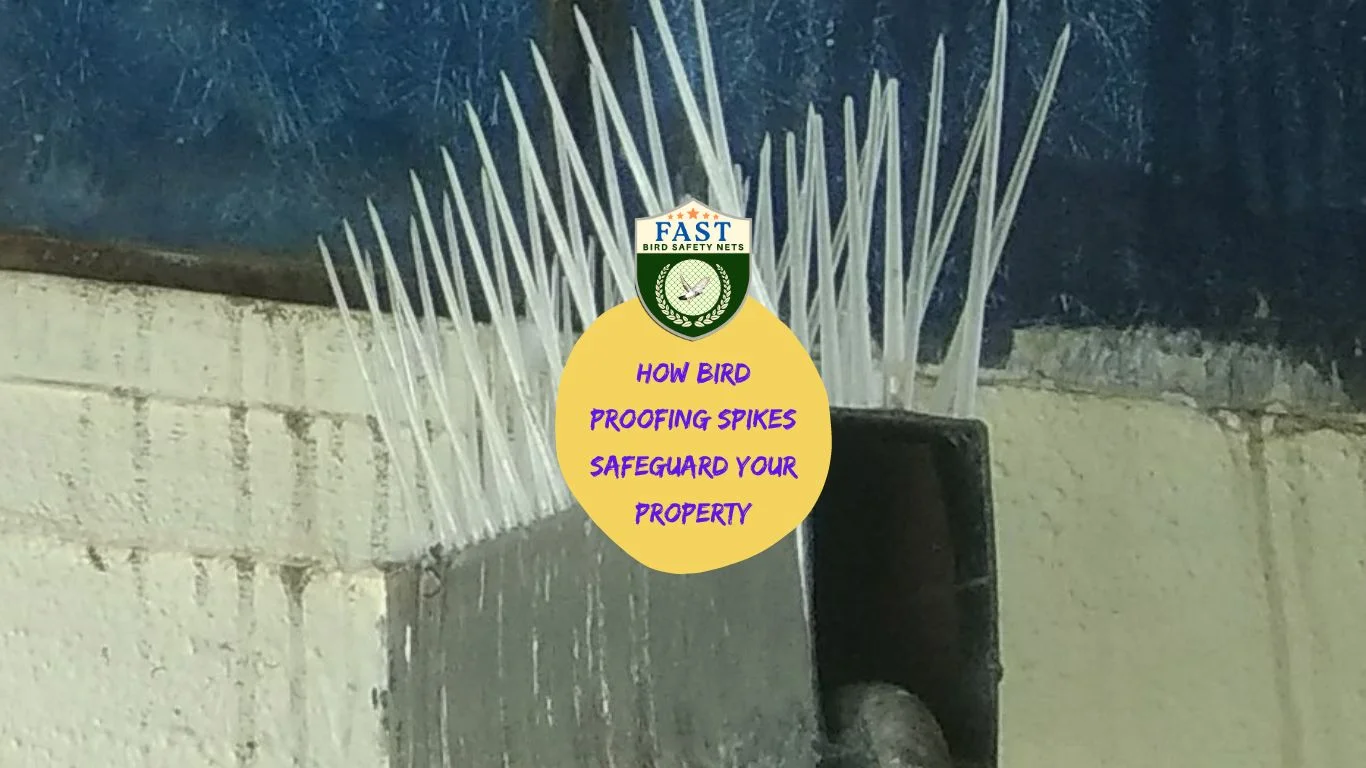 How Bird Proofing Spikes Safeguard Your Property - Fast Safety Nets ...