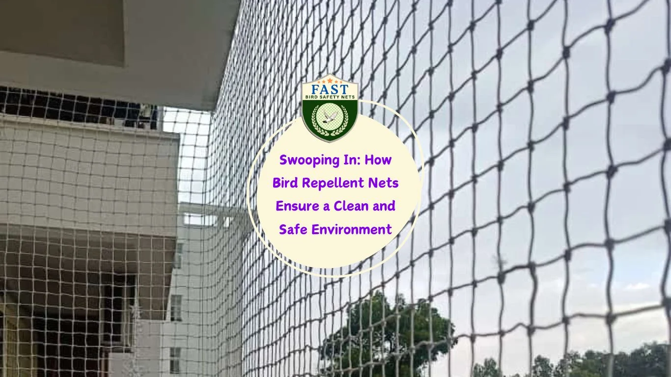 Swooping In: How Bird Repellent Nets Ensure a Clean and Safe ...