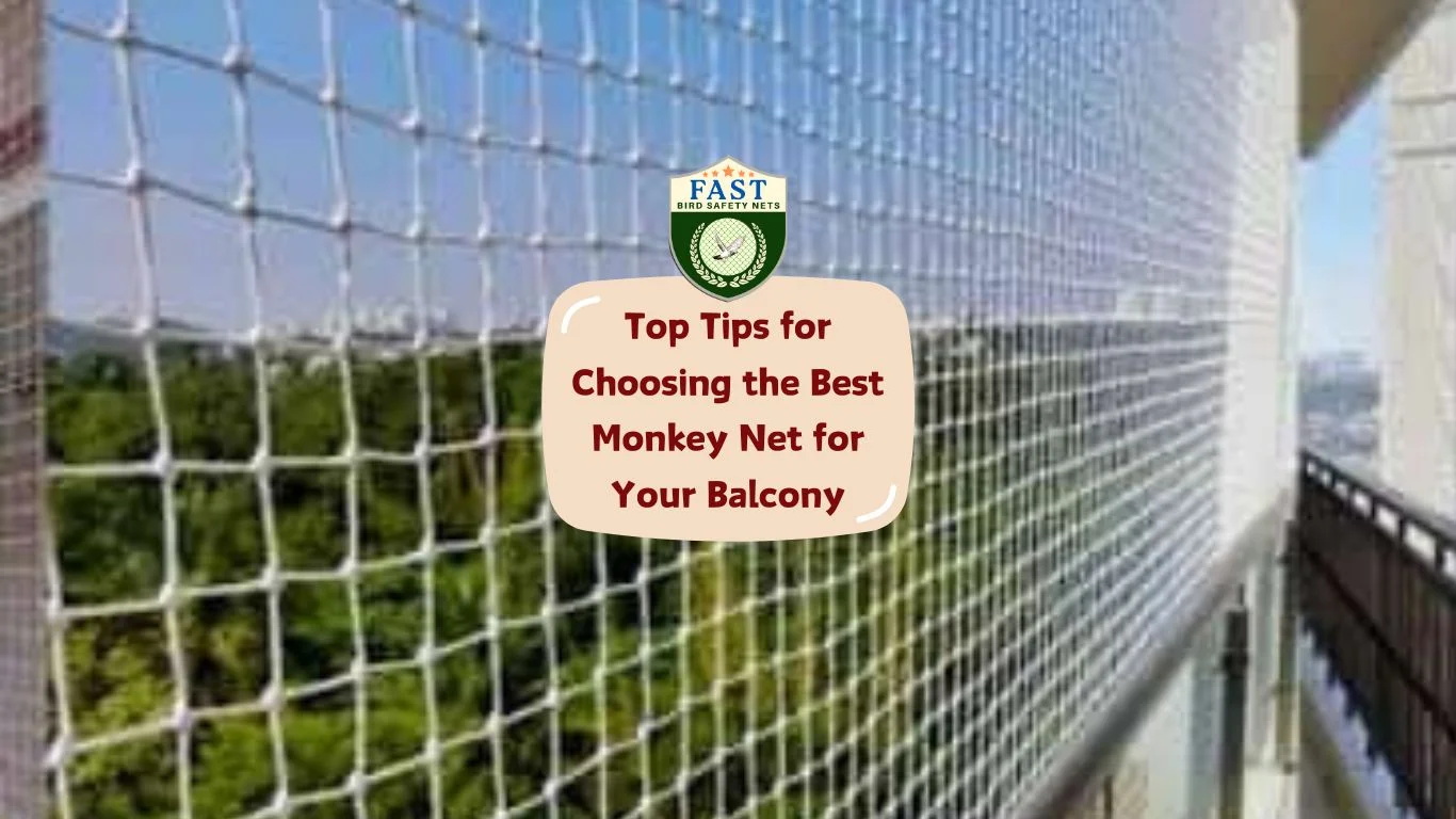 Top Tips for Choosing the Best Monkey Net for Your Balcony - Fast ...