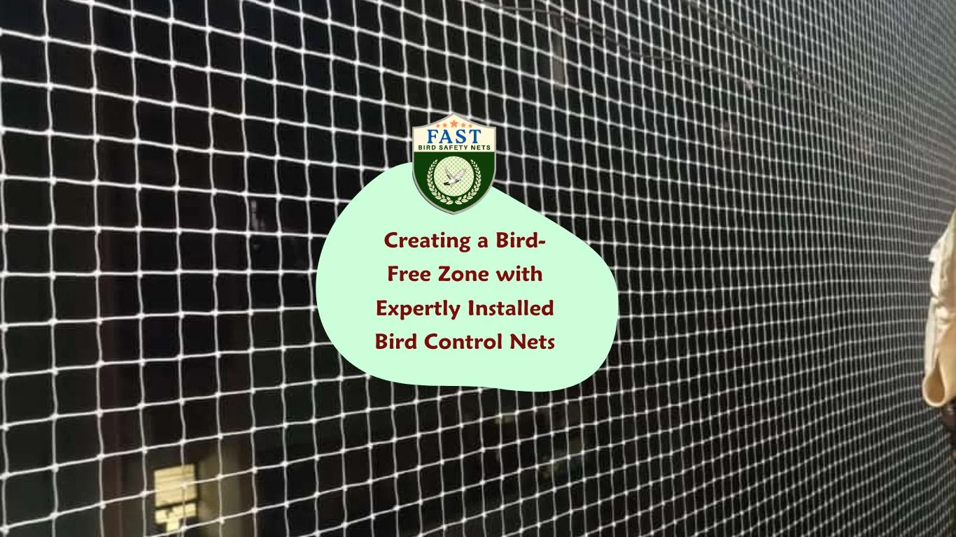 Creating a Bird-Free Zone with Expertly Installed Bird Control Nets ...