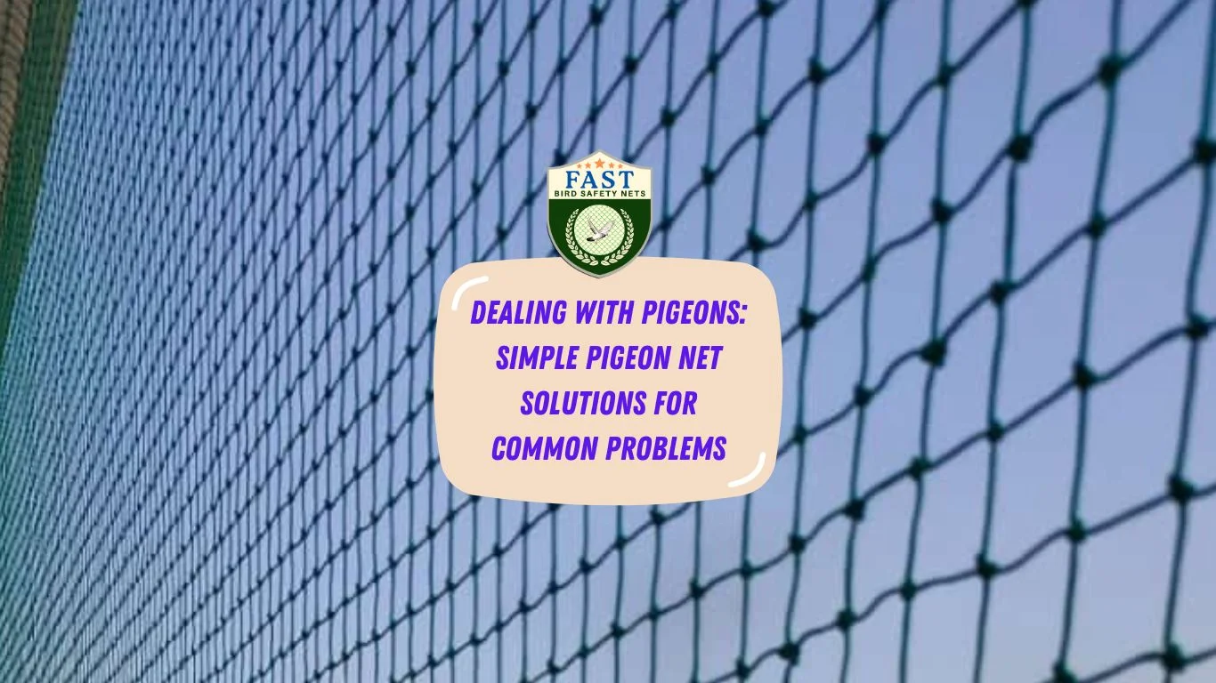Pigeon Net Solution for Common Problems