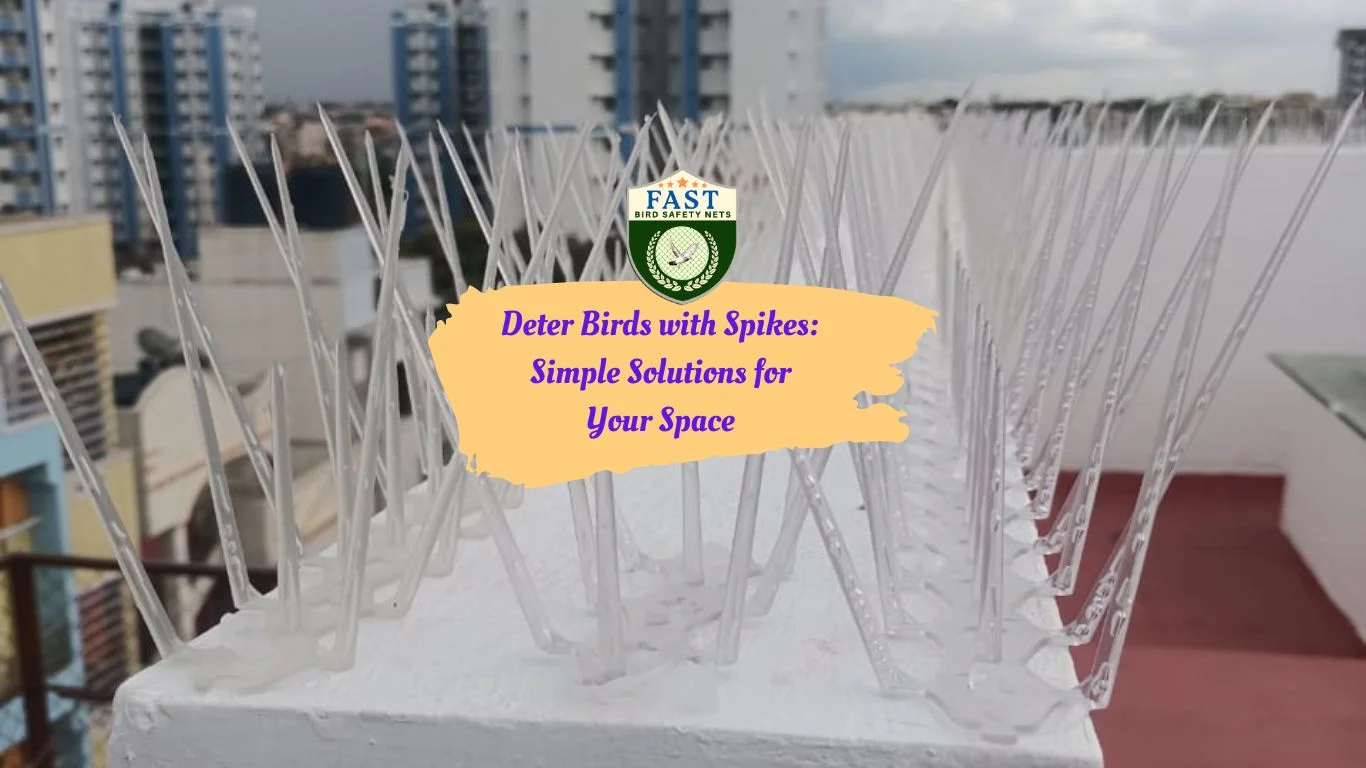 Deter Birds with Spikes: Simple Solutions for Your Space - Fast Safety ...