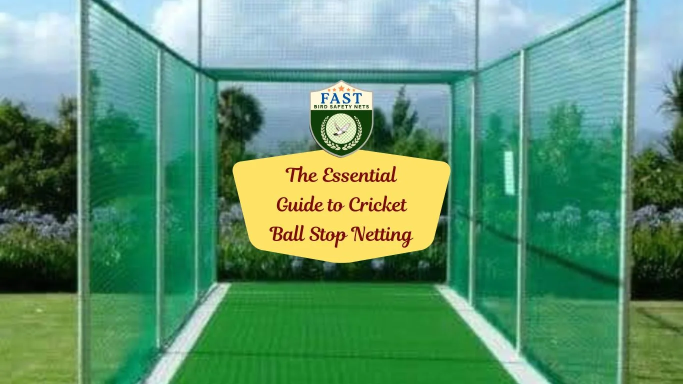 The Essential Guide to Cricket Ball Stop Netting - Fast Safety Nets ...