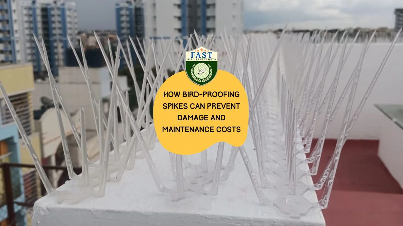 Bird-Proofing Spikes in Hyderabad