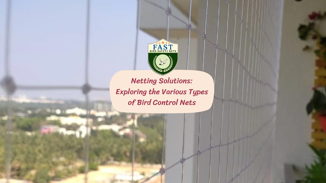 Netting Solutions: Exploring the Various Types of Bird Control Nets ...