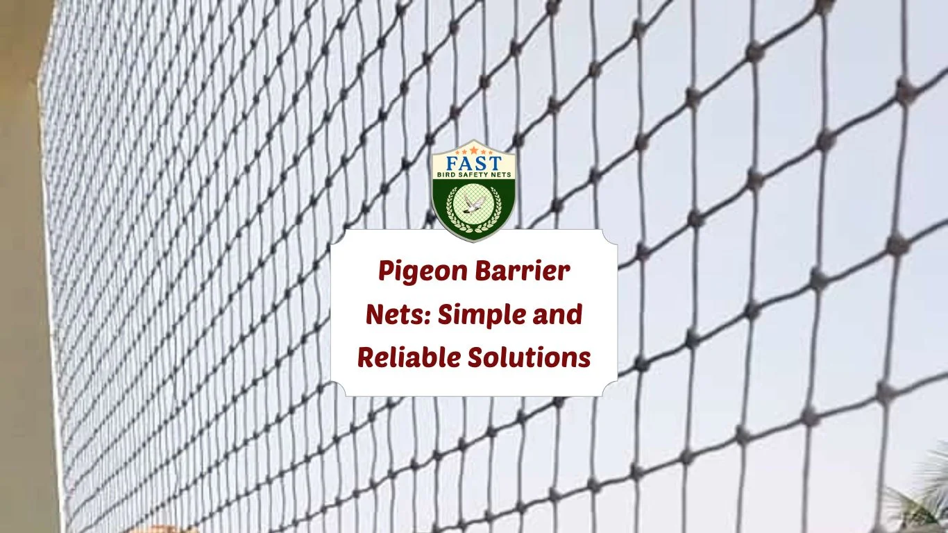 Pigeon Barrier Nets: Simple and Reliable Solutions - Fast Safety Nets ...
