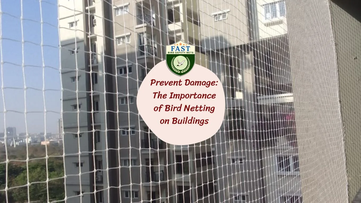 Prevent Damage: The Importance of Bird Netting on Buildings - Fast ...