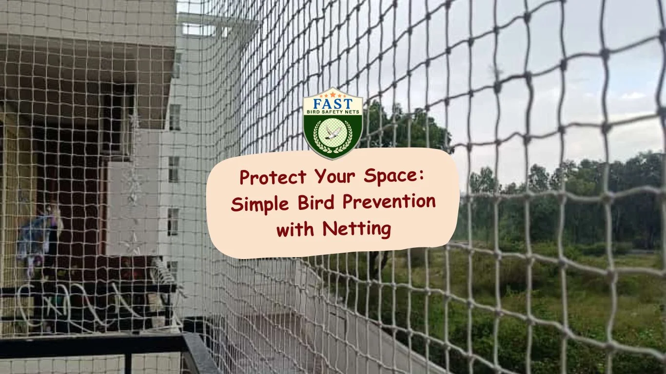 Protect Your Space: Simple Bird Prevention with Netting - Fast Safety ...