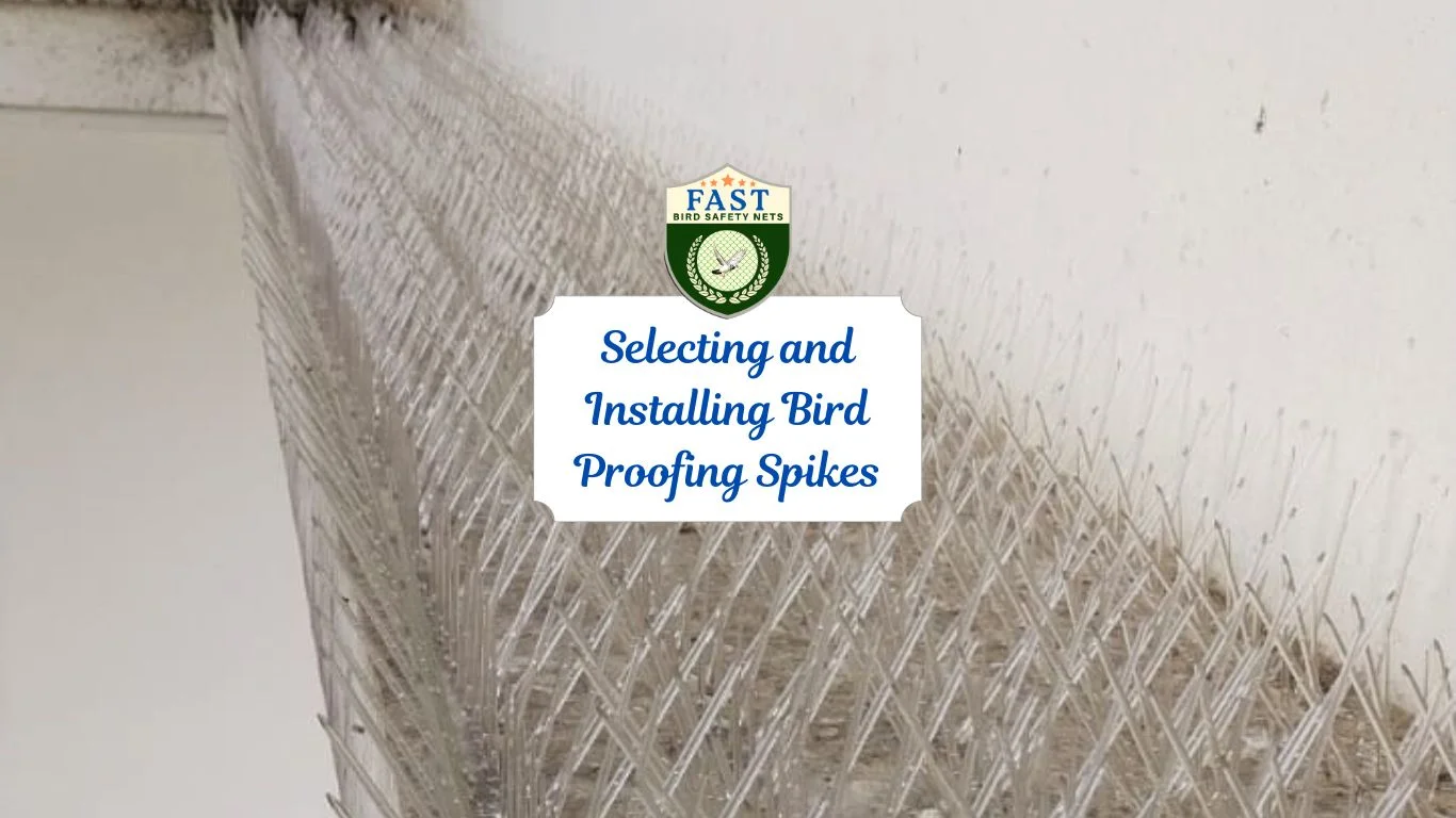 Selecting and Installing Bird Proofing Spikes - Fast Safety Nets ...