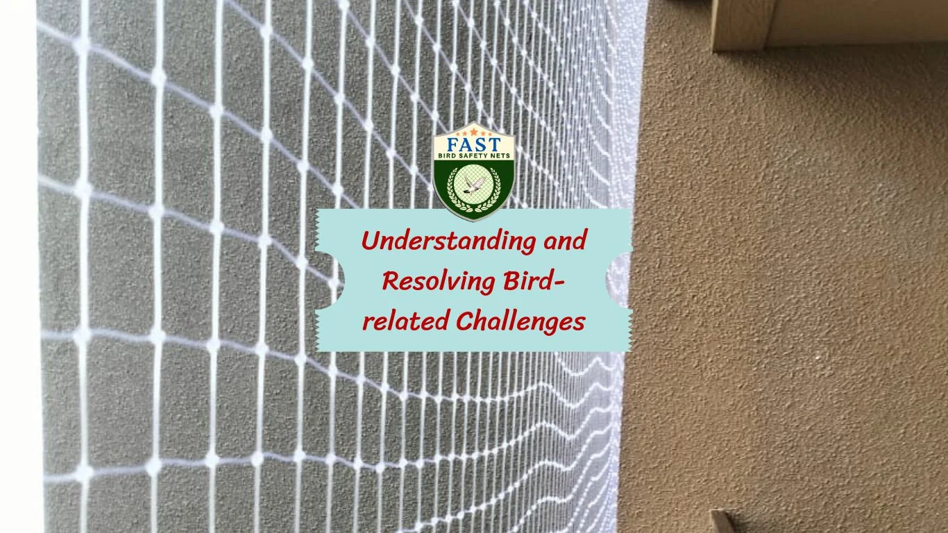Understanding and Resolving Bird-related Challenges - Fast Safety Nets Hyderabad -9363632161