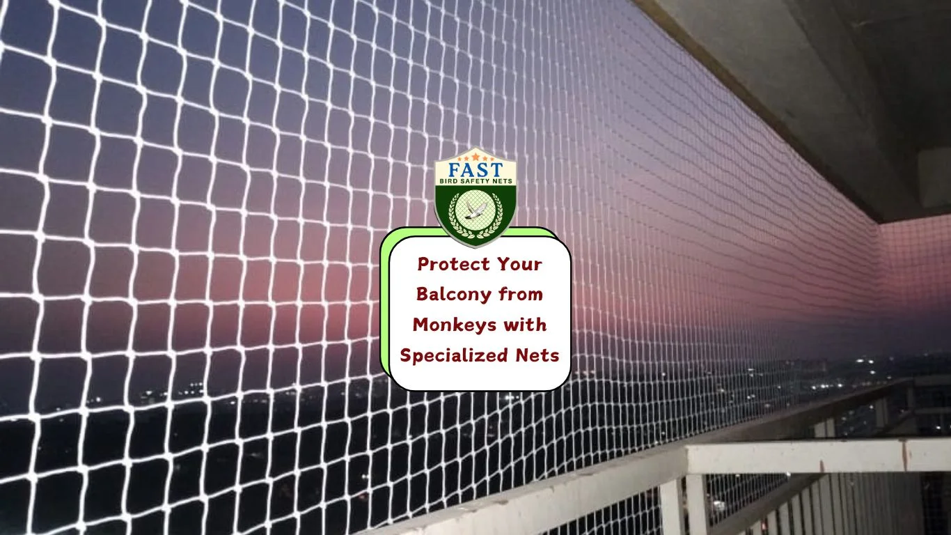 Protect Your Balcony from Monkeys with Specialized Nets - Fast Safety ...