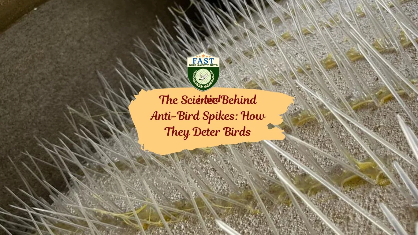 The Science Behind Anti-Bird Spikes: How They Deter Birds - Fast Safety ...