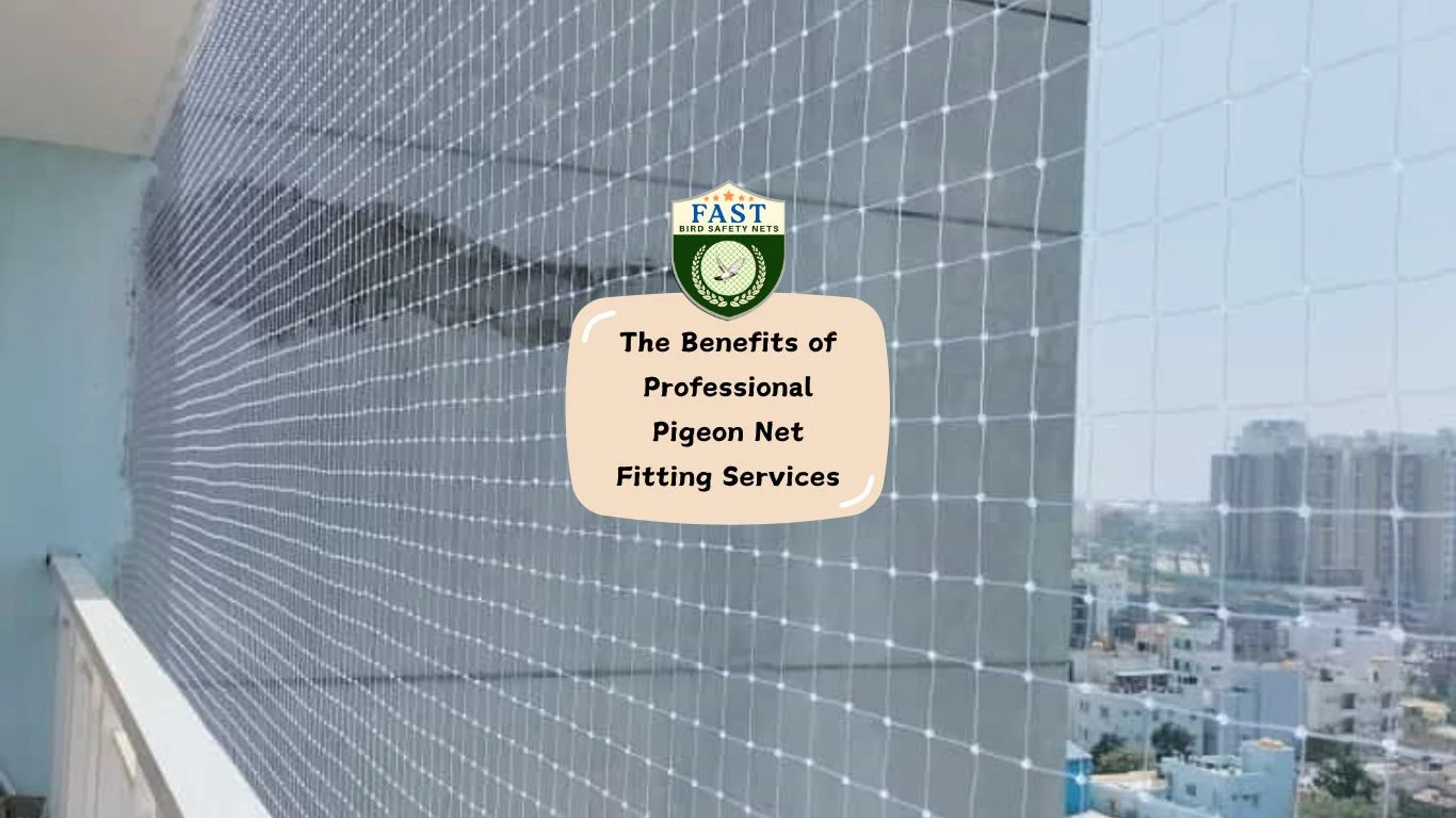 The Benefits of Professional Pigeon Net Fitting Services - Fast Safety ...