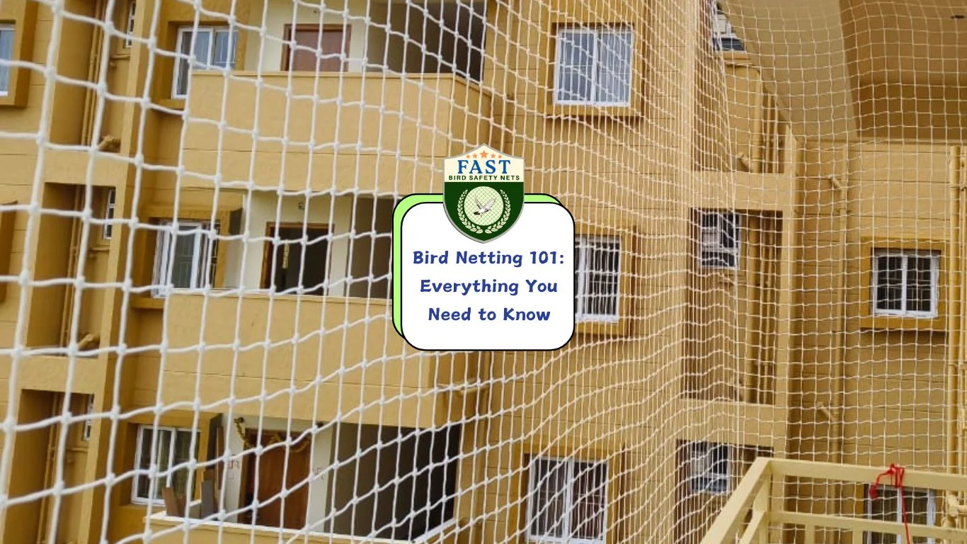 Bird Netting 101: Everything You Need to Know - Fast Safety Nets ...