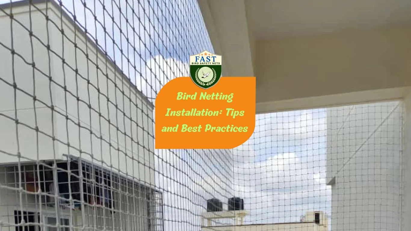 Bird Netting Installation: Tips and Best Practices - Fast Safety Nets ...