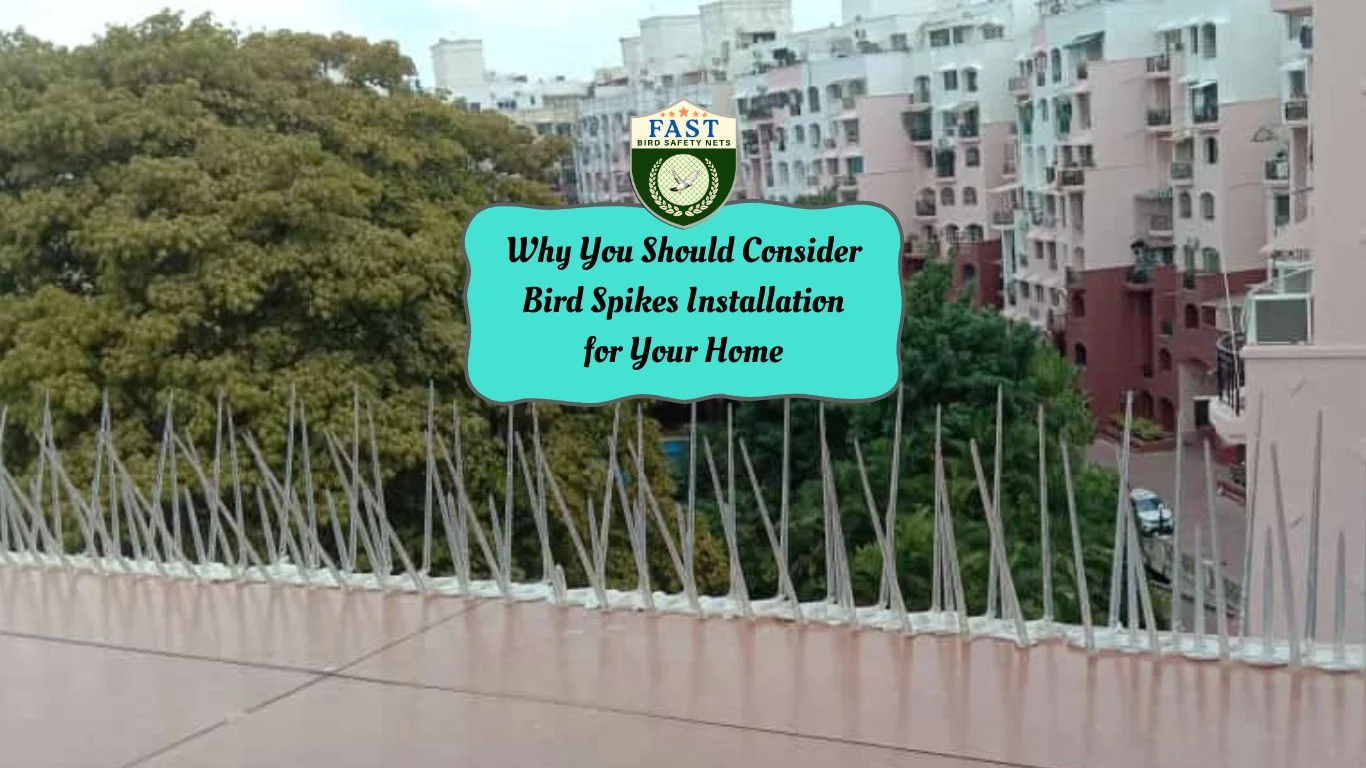 Why You Should Consider Bird Spikes Installation for Your Home - Fast ...